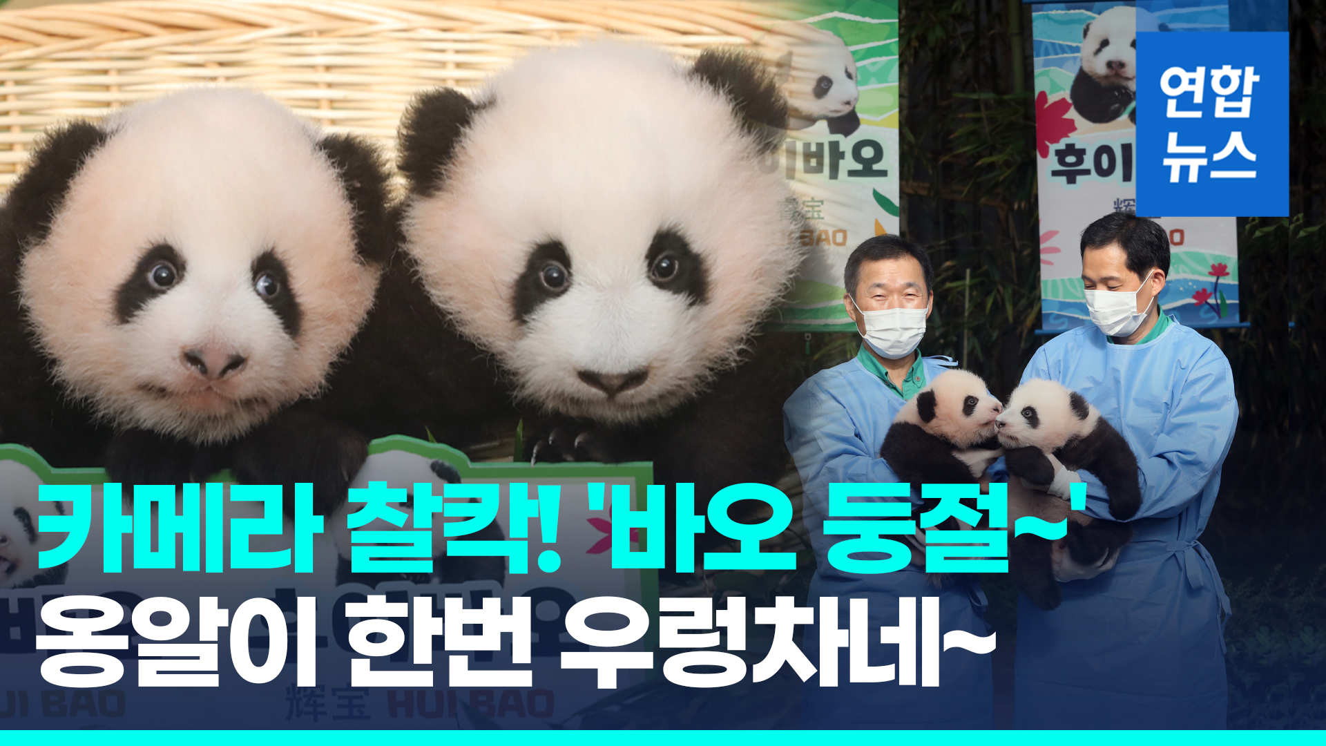 영상 루이바오·후이바오 첫 바깥나들이쌍둥이 목청소리 쩌렁~ 연합뉴스 